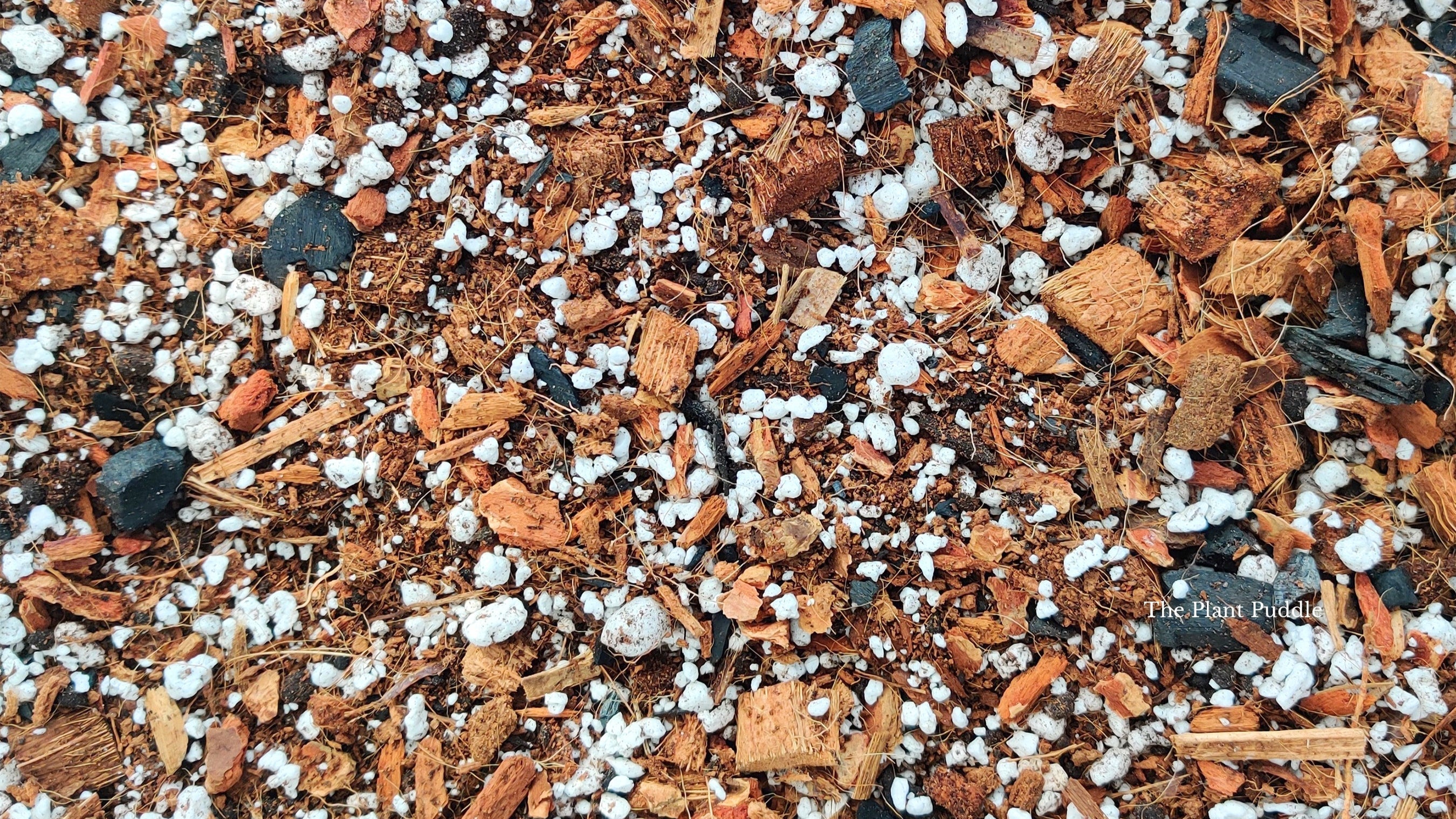 My Best DIY Aroid Mix Recipe - Chunky and Soil-Free – The Plant Puddle